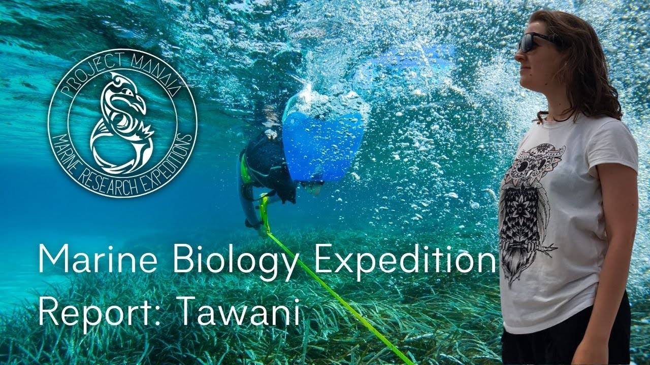Marine Biology Expedition report - Tawani - YouTube