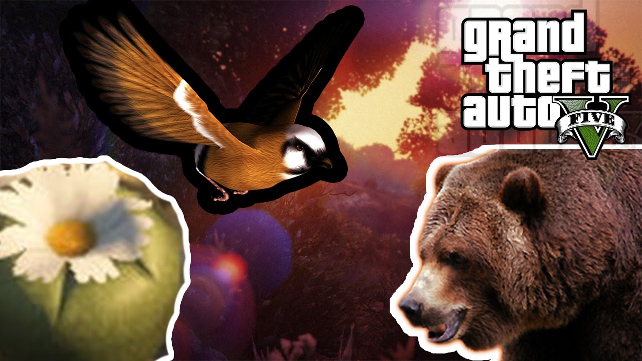 GTA 5 Peyote Plant HUNT LIVE! (Part 2) - YouTube