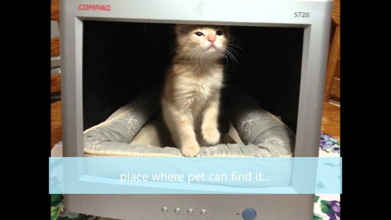 How to make a pet bed out of a old CRT monitor! - YouTube