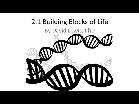 2.1 Building Blocks of Life - YouTube