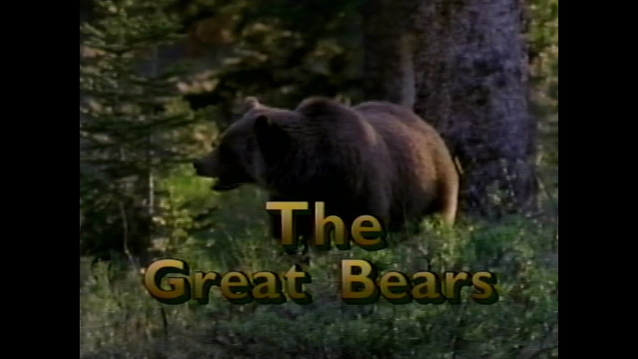 The Great Bears - Karvonen Films VHS, 1989 - YouTube