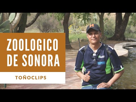 Zoologico de Hermosillo Sonora 2020 - YouTube