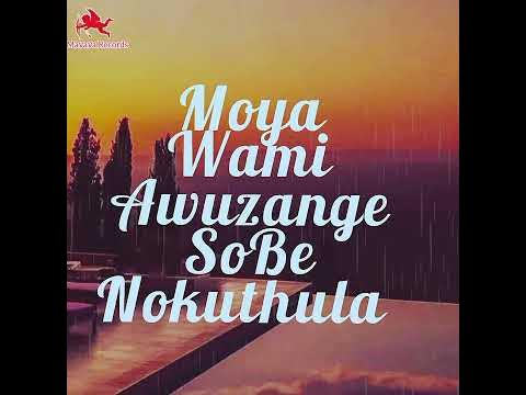 MAVAVA Nation _ Umoya Wami Lyrics - YouTube