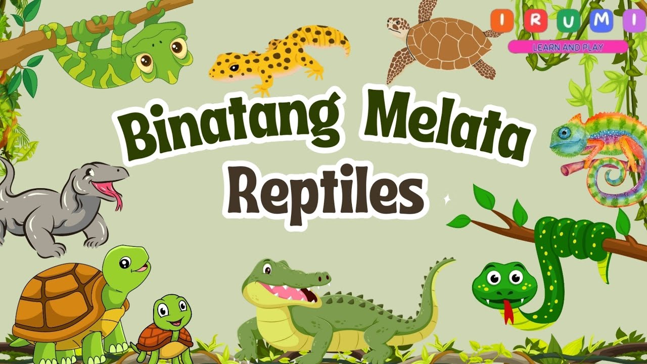 Mengenal Hewan Melata Atau Reptile Dalam Bahasa Inggris Dan Indonesia ...