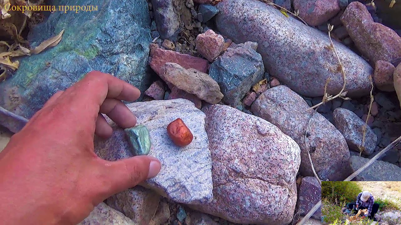 Nature treasure