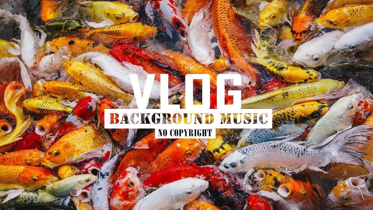 Ikson - Moments (Vlog Background Music) [Free To Use Music] - YouTube
