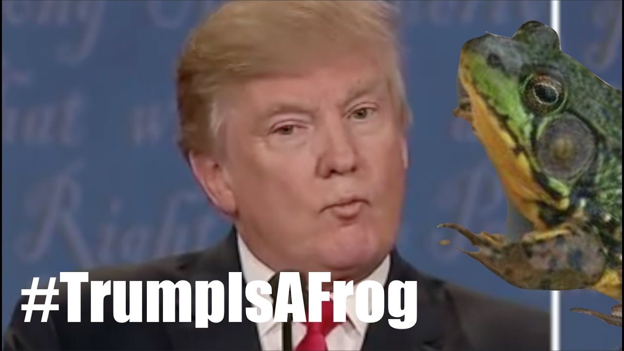 Trump is a Frog! - YouTube