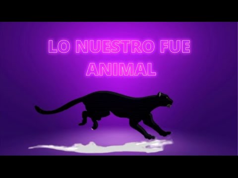 Chaty - Animal (Official Audio)