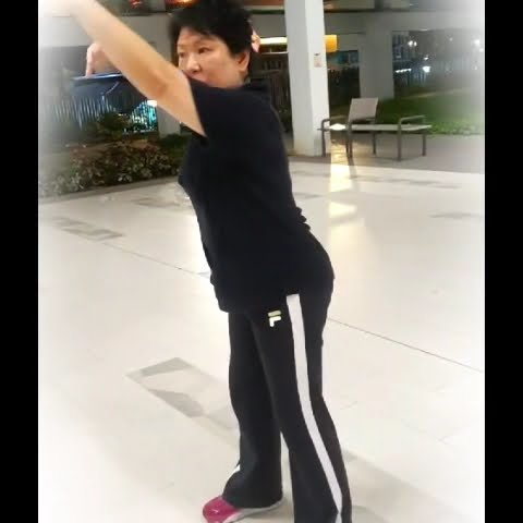 Liu he ba fa Foundation training begins 六合八法基本功开始 - YouTube