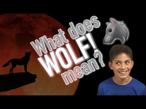 SOCIAL EXPERIMENT: What does WOLF mean? 🏀