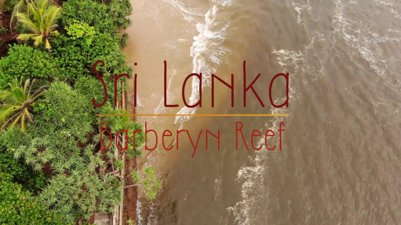Barberyn Reef Ayurveda Resort - Sri Lanka - YouTube