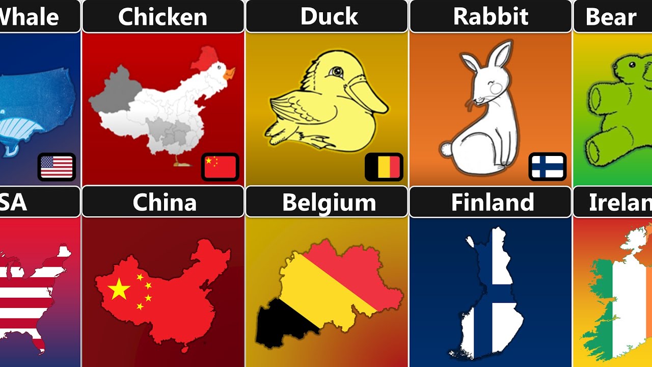 Countries Map in Realistic Animal Shape | Fun with Maps - YouTube