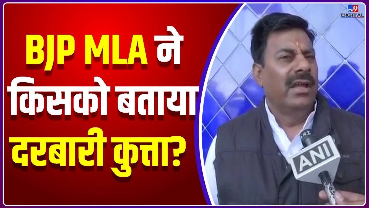 BJP MLA ने किसको बताया दरबारी कुत्ता? | Rameshwar Sharma | Bhopal ...