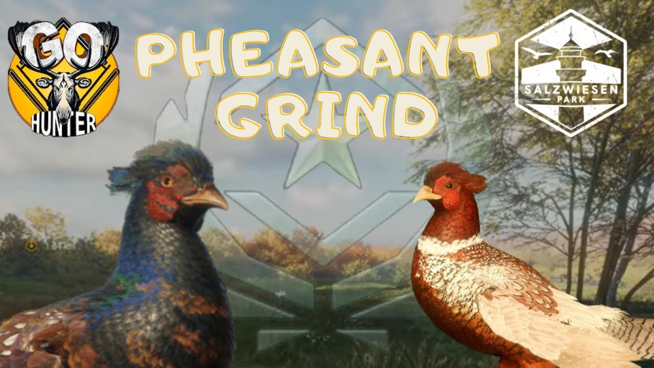Great One Pheasant #3 spawn! Lets shoot it - YouTube