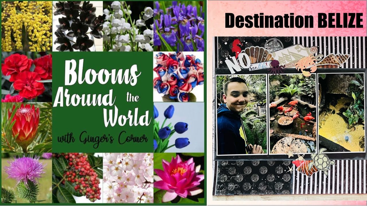Blooms Around the World In 30 Days | Destination Belize | Scrapbooking ...