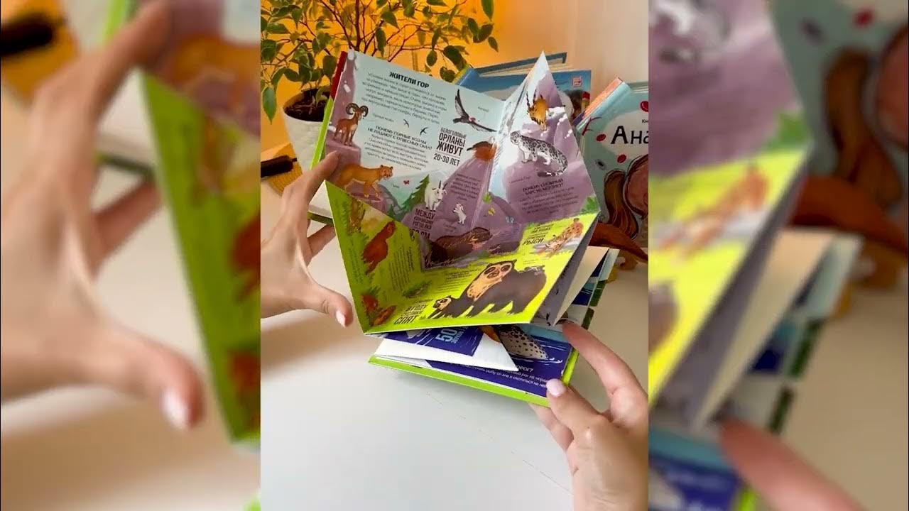 Книга трансформер Животные - YouTube