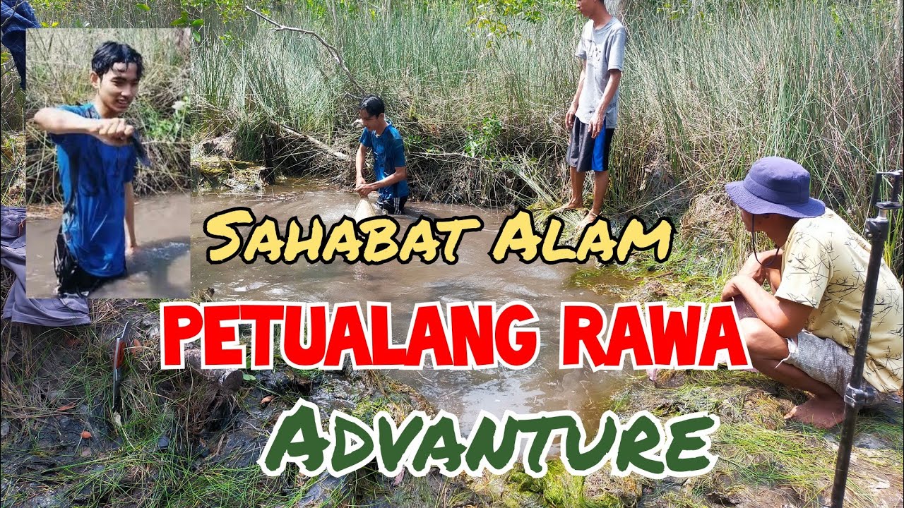 Petualang Rawa || Menjelajah Rawa Hutan Sumatera Selatan - YouTube