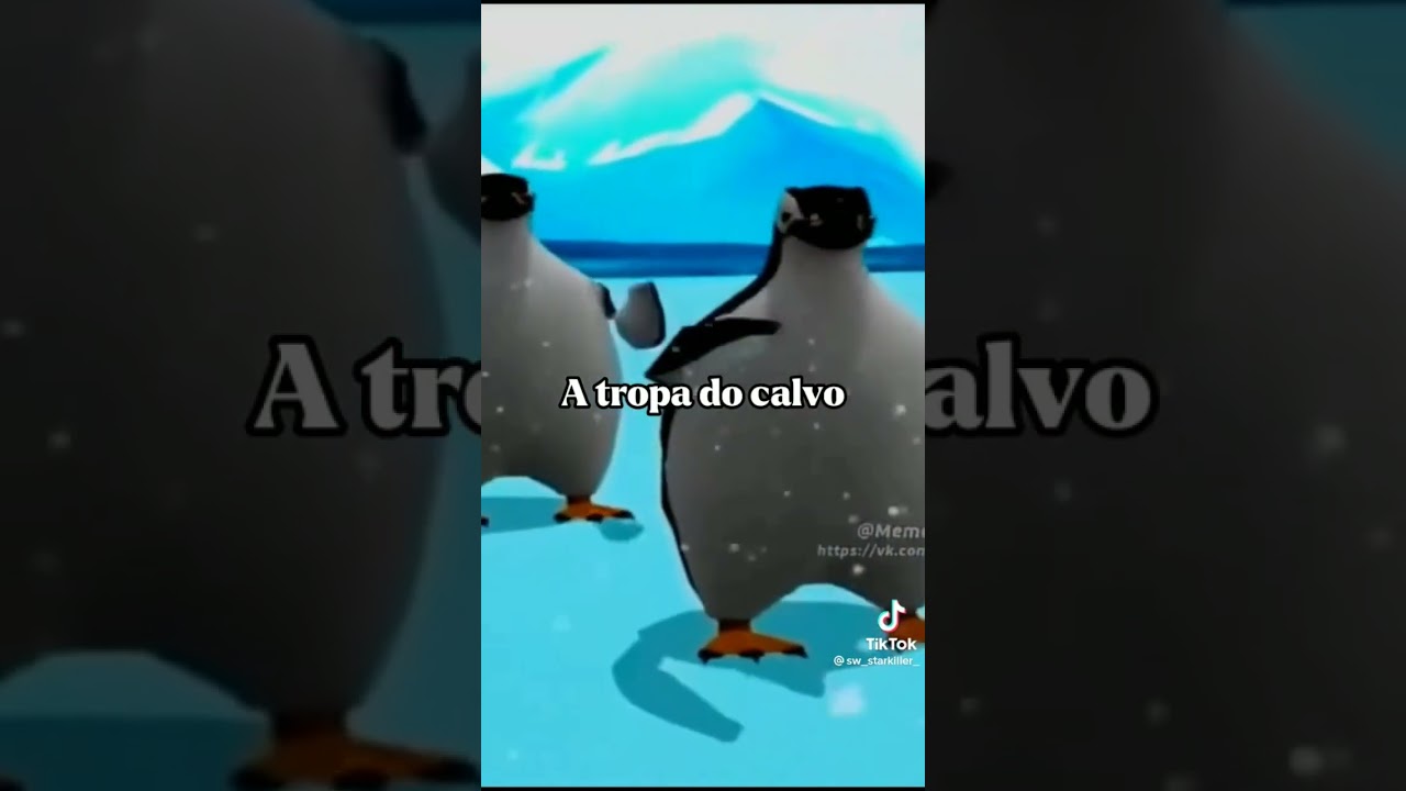 e o calvo a tropa do calvo deixou chegar tem que aturar a tropa do ...