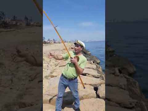 Baliqci Asif Hasanov