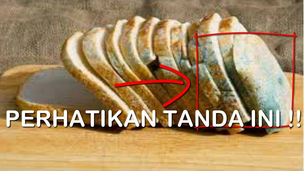 ROTI BULUKAN ?? WASPADAI TANDA INI SEBELUM DI MAKAN||GANTI CHANEL - YouTube