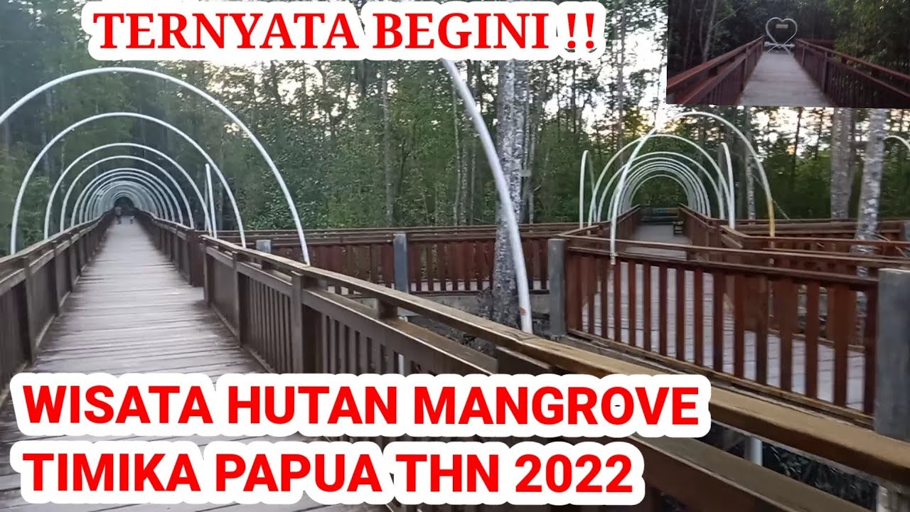 PERJALANAN TIMIKA POMAKO WISATA MANGROVE TIMIKA PAPUA, INDAHNYA ALAM ...