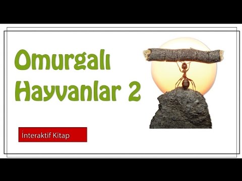 Omurgalı Hayvanlar 2 #sayfa102