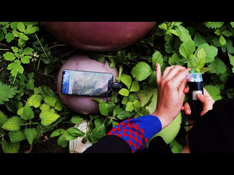 Kasha Potrohosh: Springformance