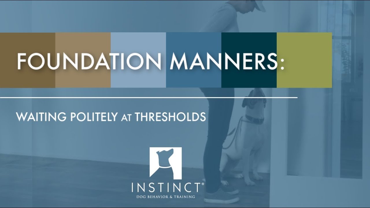 Doorway Manners | Training Dogs to Wait at Thresholds - YouTube