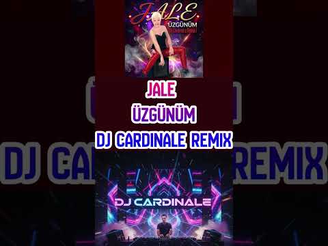Jale - Üzgünüm (Dj CardinaLe Remix) | 90'lar Türkçe Pop Nostalji 📼