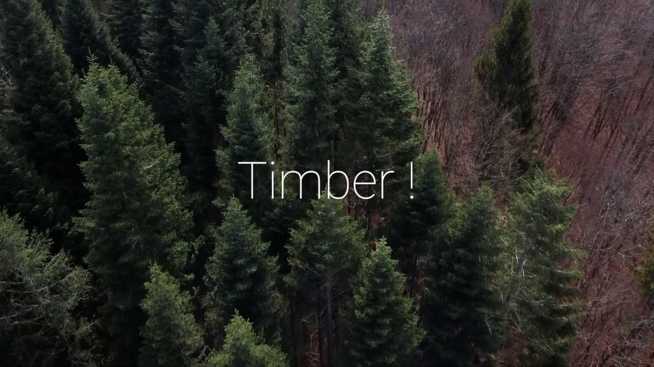 Timber - YouTube