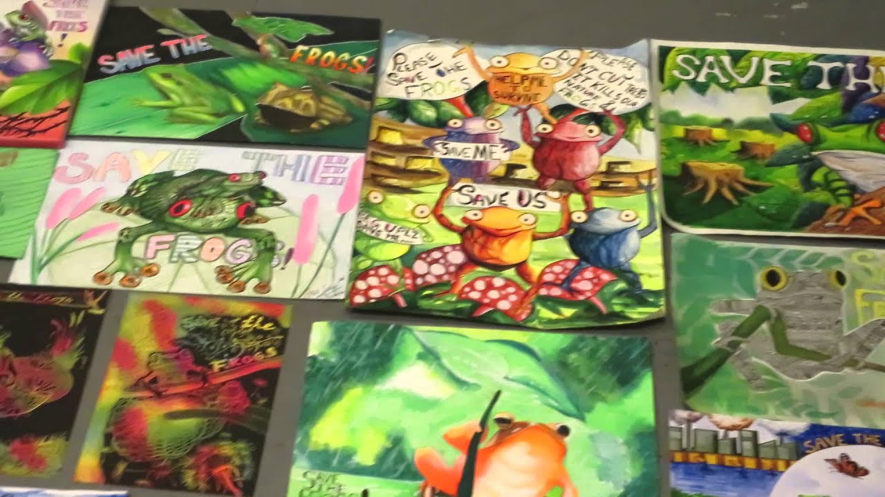 Save The Frogs 2014 Art Contest Finalists - YouTube