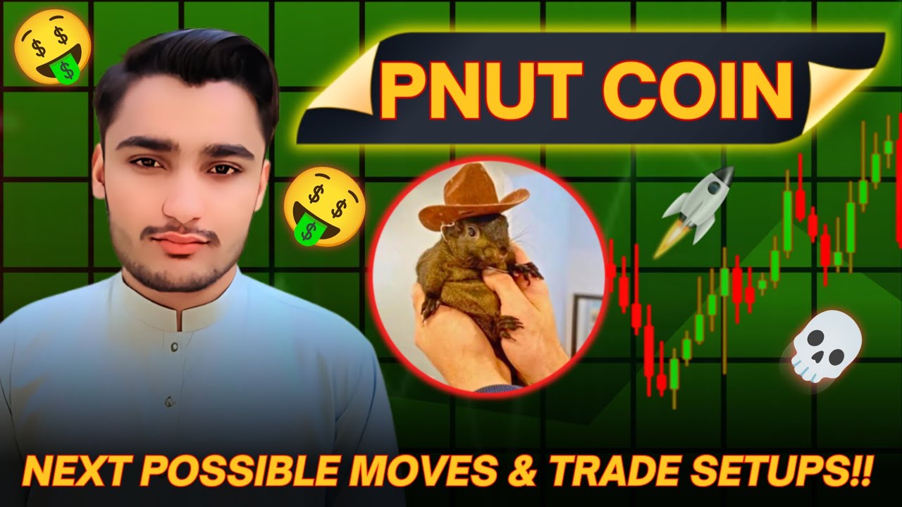 PNUT Coin Price prediction and News Today | PNUT Coin Next Possible ...