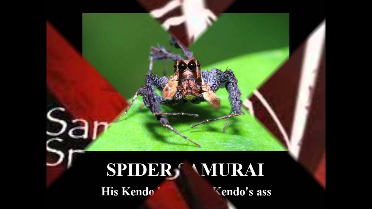 Samurai Spiders Beat | @PimpBalla931 - YouTube