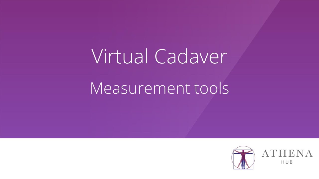 Virtual Cadaver - Measurement tools - YouTube