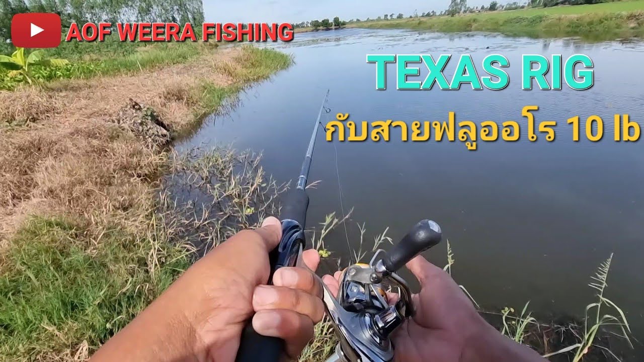 EP.7 Texas Rig ตกปลาด้วยสายเล็กๆ ครั้งแรก กับสายฟลูออโรคาร์บอน 10 lb By ...