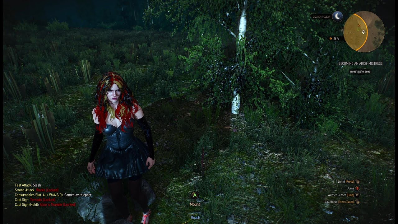 🔎🪞 How to Find the Megascope Crystal in The Witcher 3: Custom Player ...
