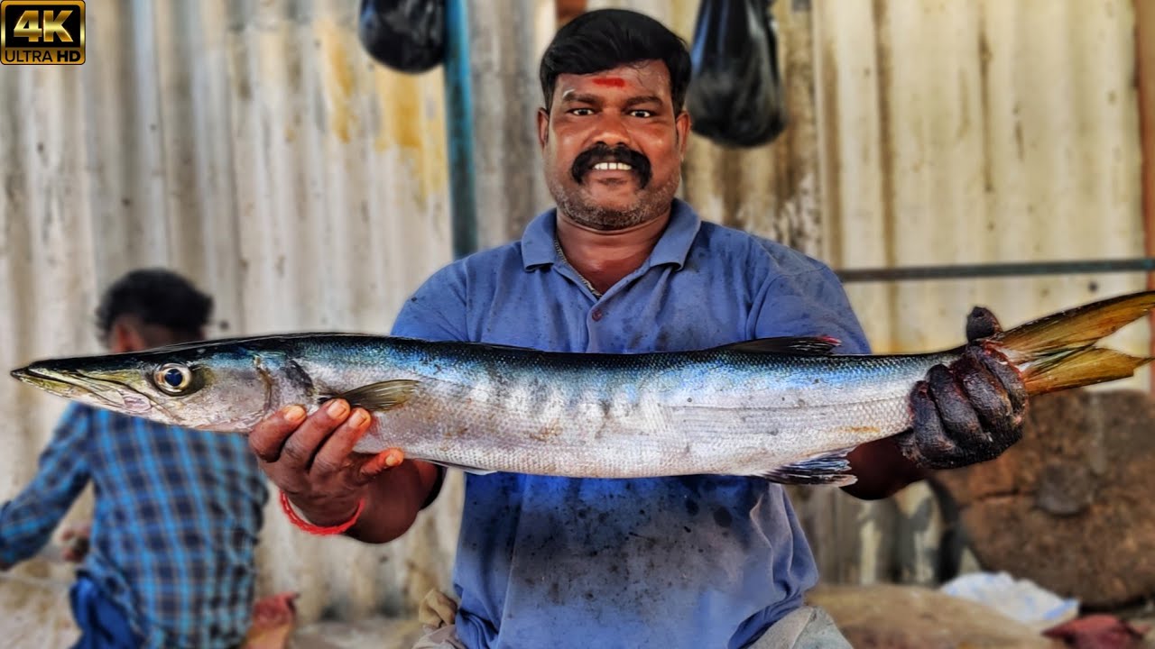 BARRACUDA FISH CUTTING VIDEO | IN KASIMEDU | 4K VIDEO #kmfishcutting # ...