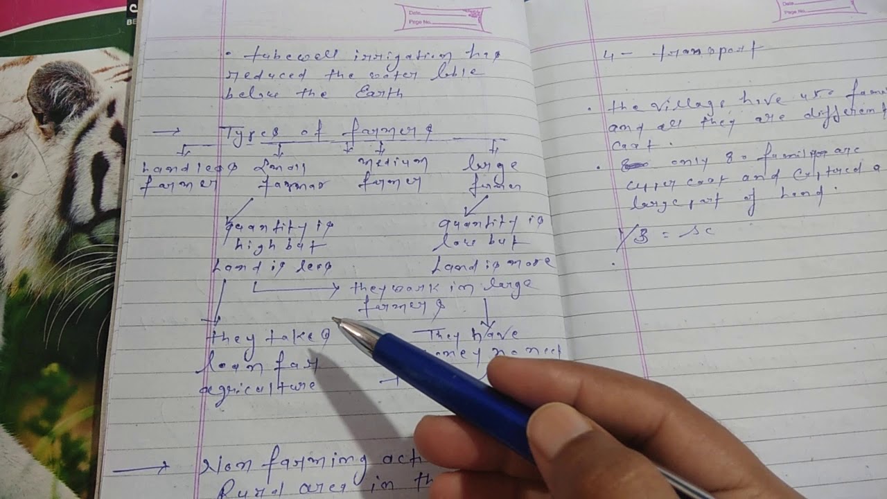 Class 9 eco lecture 3 - YouTube