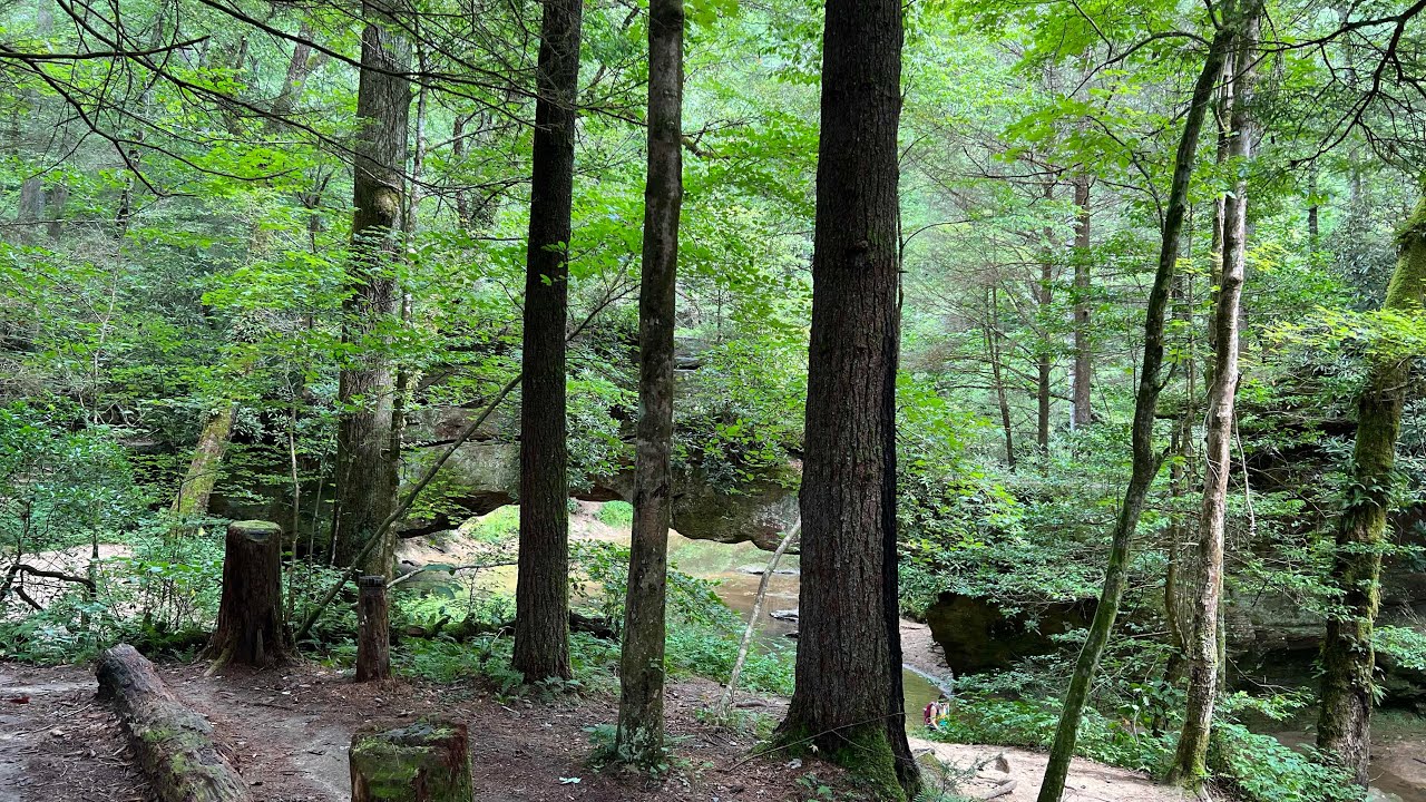 Red River Gorge: Rock Bridge Arch, Angel Windows, and Whistling Arch ...