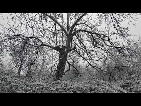 🌨️🌨️🌨️🌨️QAR YAĞMUR U