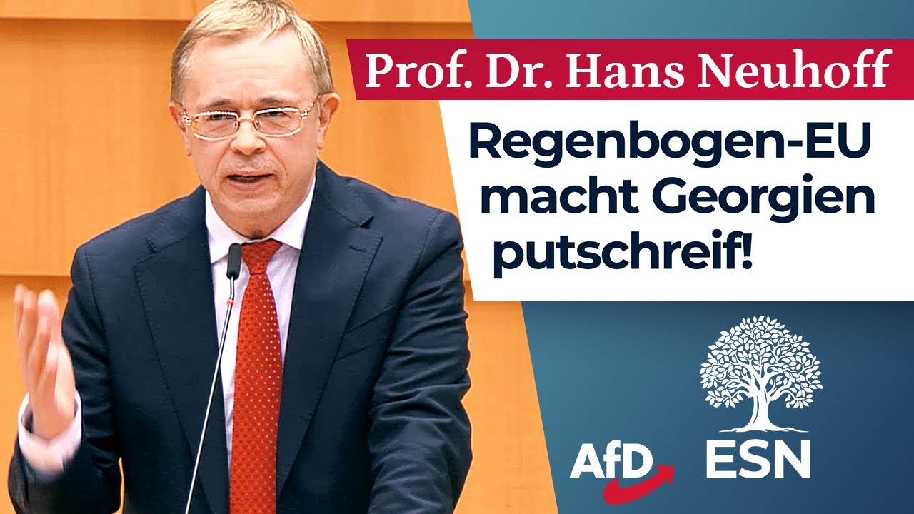 Regenbogen-EU macht Georgien putschreif! - Prof. Dr. Hans Neuhoff (AfD ...