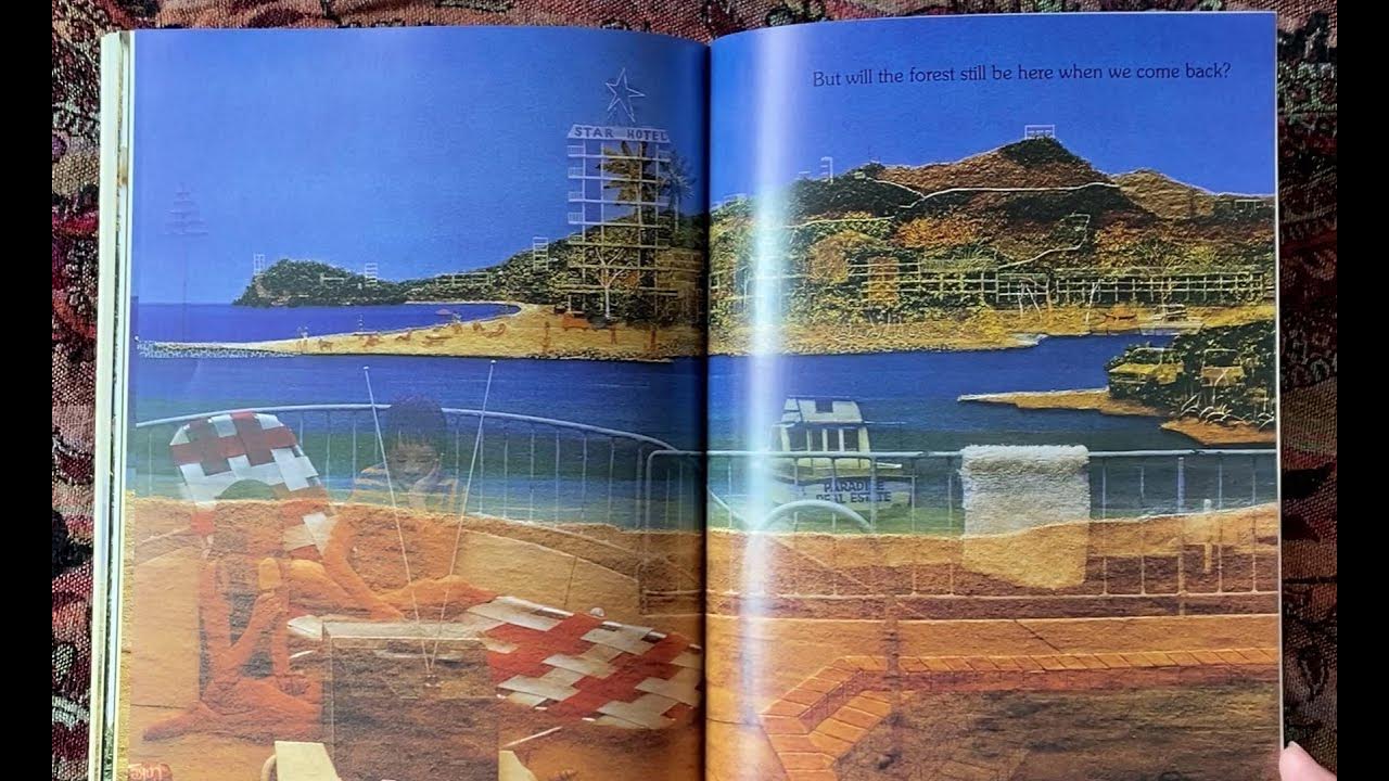 Where the Forest Meets the Sea - By Jeannie Baker | Read with Miss ...