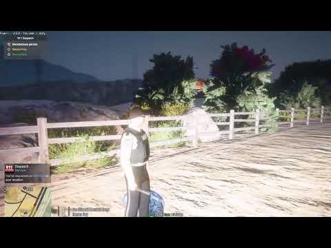 FivePD Calls! | Blue Line Texas Roleplay FiveM - YouTube