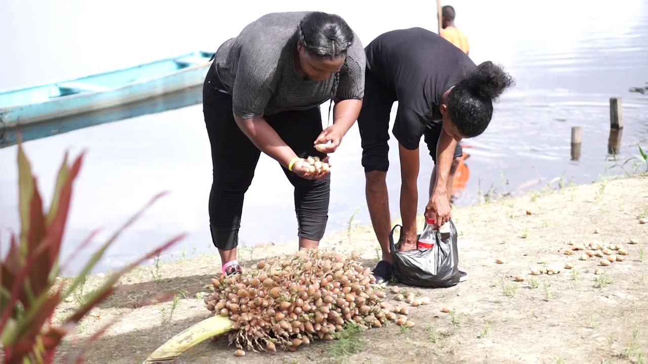 Guyana Fruit: Cookrit - YouTube