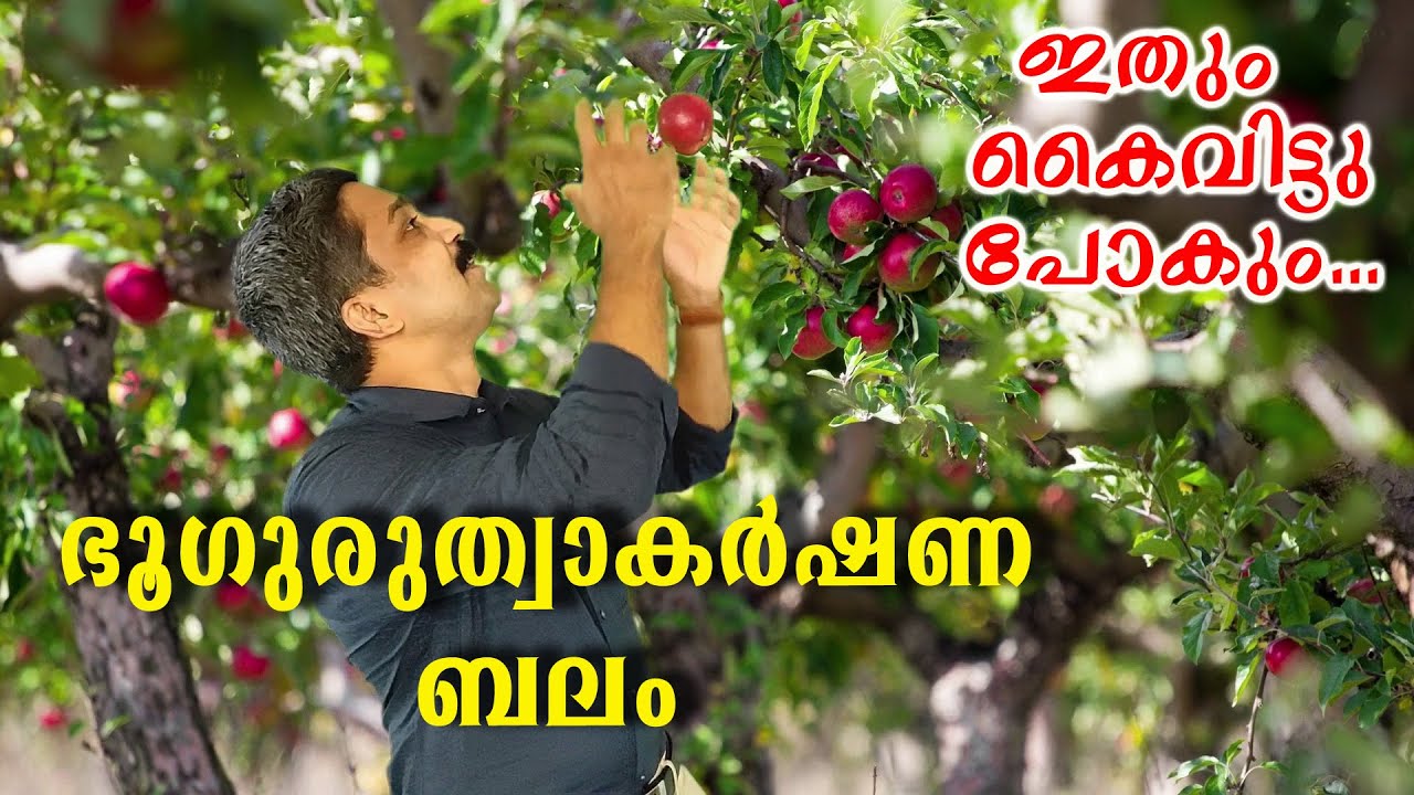 Force of Gravity - Moral Story - Episode 29 - YouTube