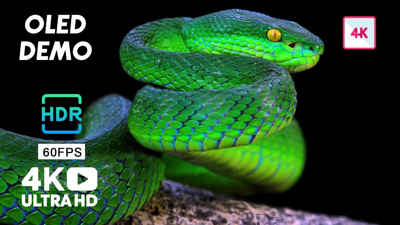 Oled Demo 3 | 4K HDR 60FPS Dolby Vision - YouTube