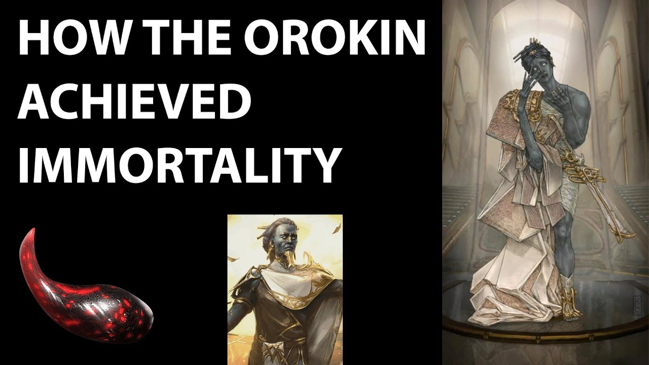 Warframe Lore: Continuity - How The Orokin Achieved Immortality - YouTube