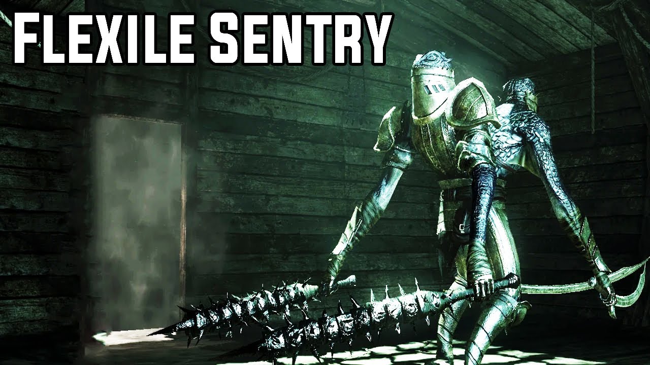 Flexile Sentry - (No Hits Taken) Dark Souls 2: Original - YouTube
