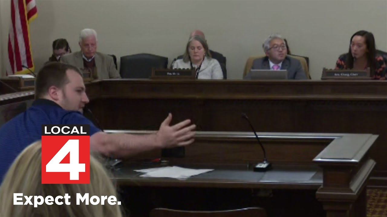 Man uses racial slur in Michigan Senate committee hearing - YouTube