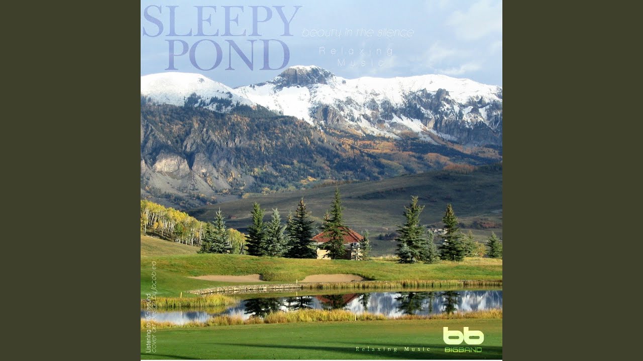 Sleepy Pond Sound for Calm Down - YouTube